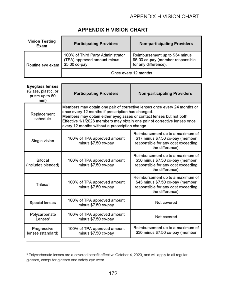APPENDIX H – VISION CHART – MCO