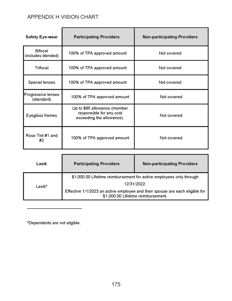 APPENDIX H – VISION CHART – MCO